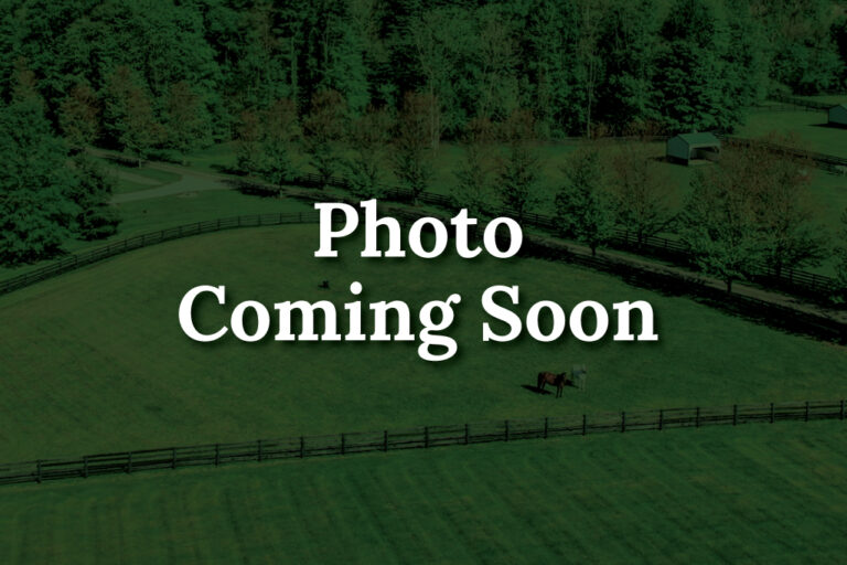 Home - Still Water Farm