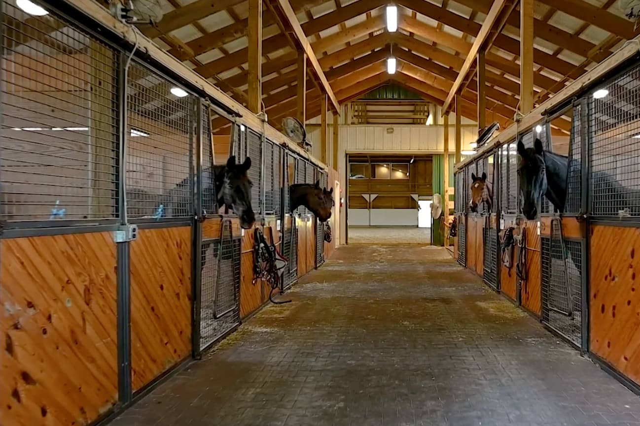 Home - Still Water Farm