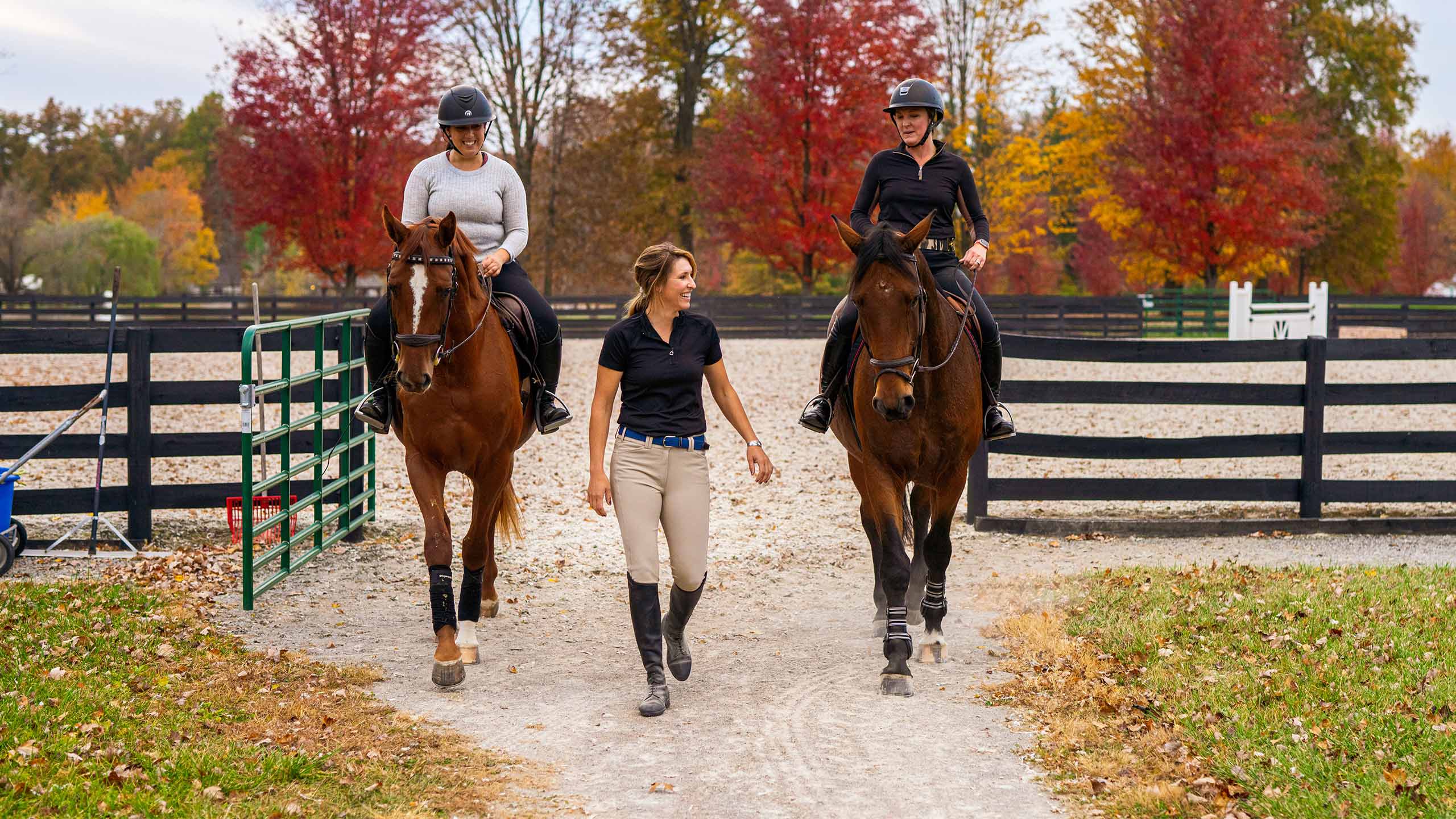 Therapy - Still Water Farm